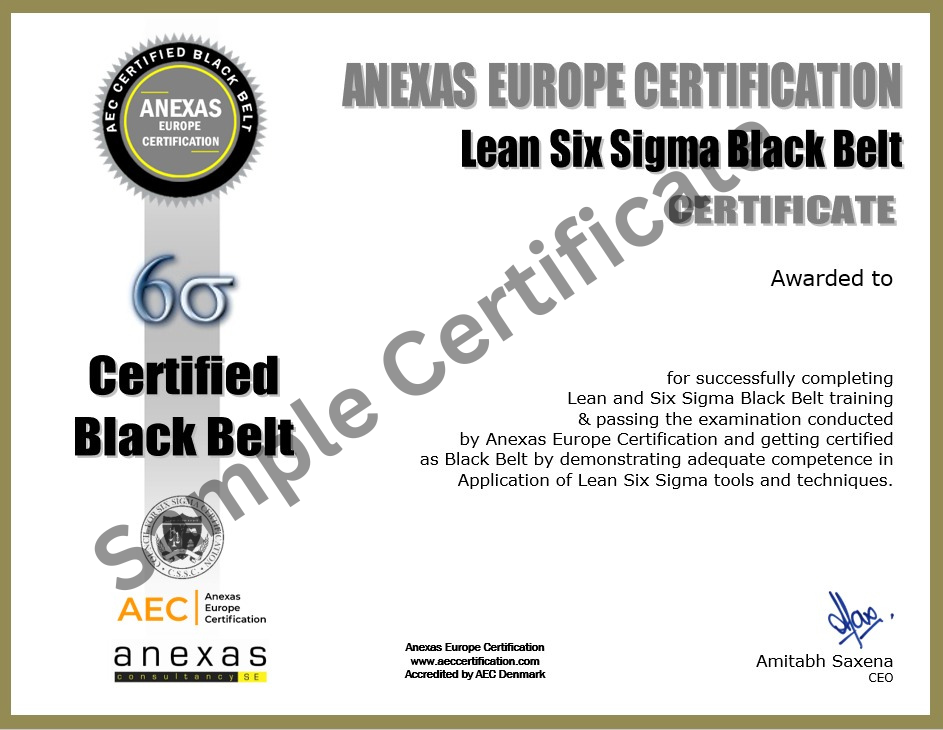 Lean Six Sigma Black Belt Certification – AEC Certification
